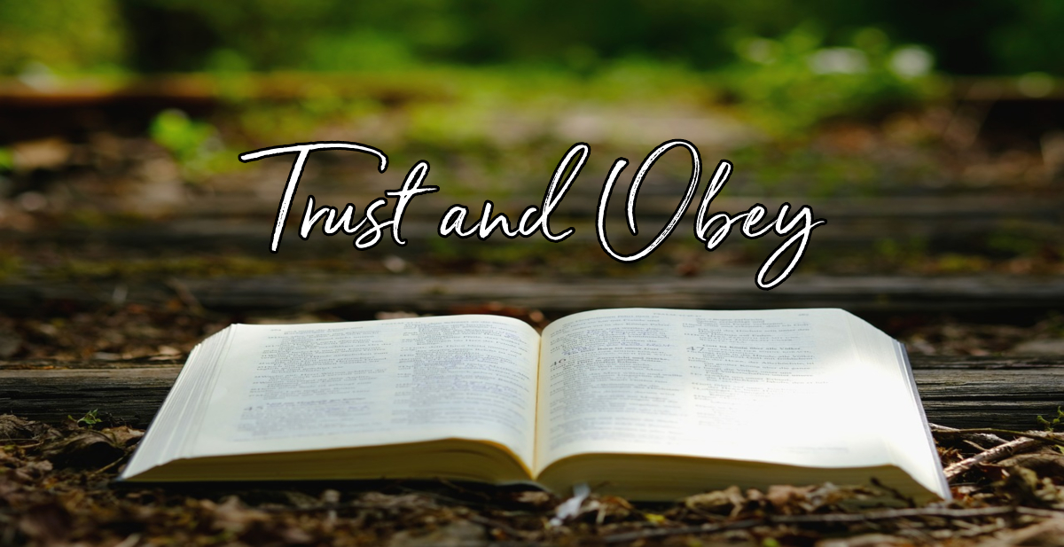 Trust and Obey … by Katelyn Erickson