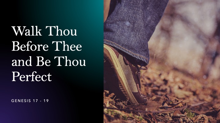 Walk Thou Before Me and Be Thou Perfect