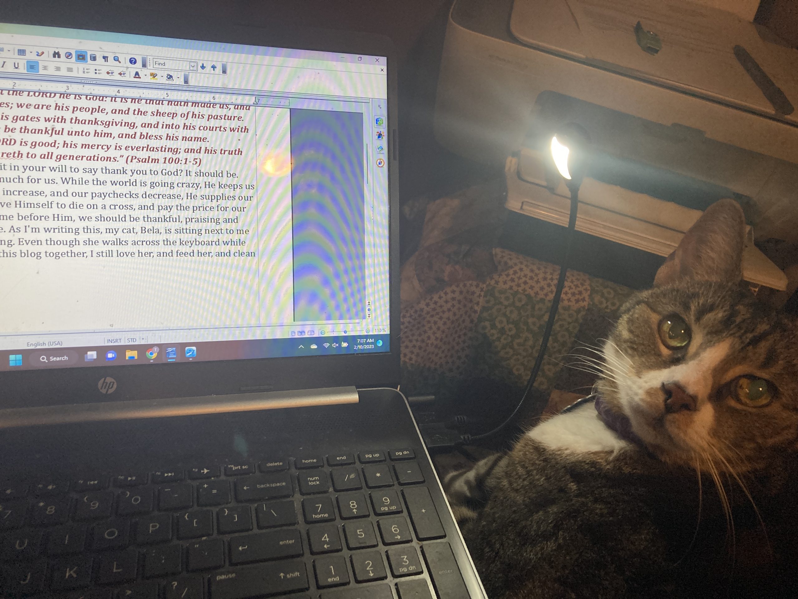 Thank You – The Saturday Morning Post