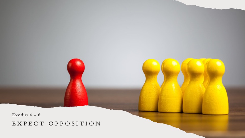Expect Opposition | Making A Difference