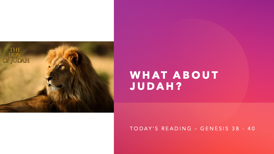 What About Judah?