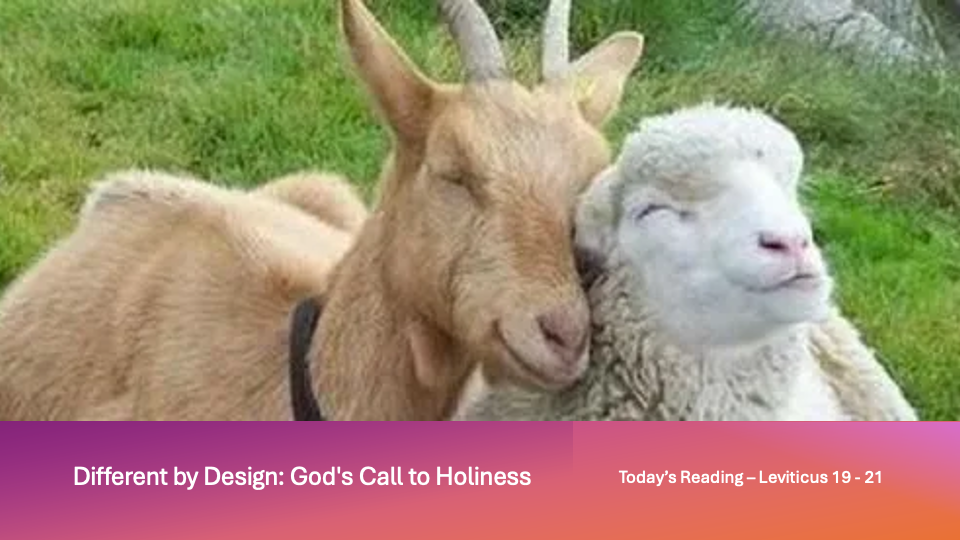 Different by Design: God’s Call to Holiness